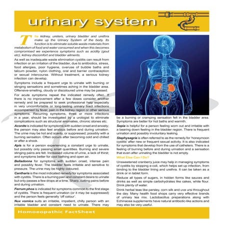 Urinary factsheet | PDF
