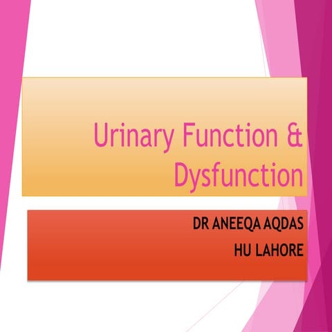 Urinary Function and Dysfunction For a Subject Gerontology and ...