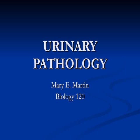 Urinary pathology | PPT