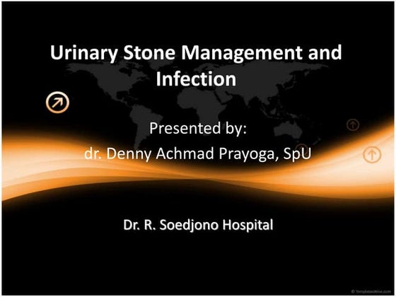 Percutaneous Nephro lithotomy - PCNL.pdf