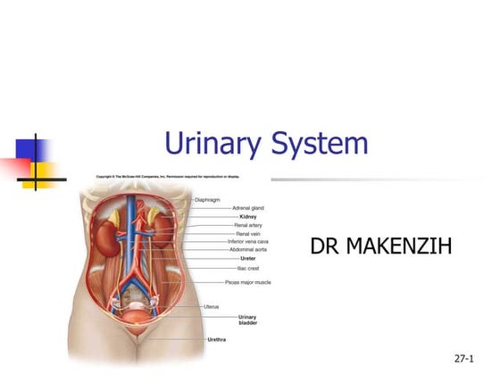 Management_of_HIV-AIDS__in_Children-ART.ppt