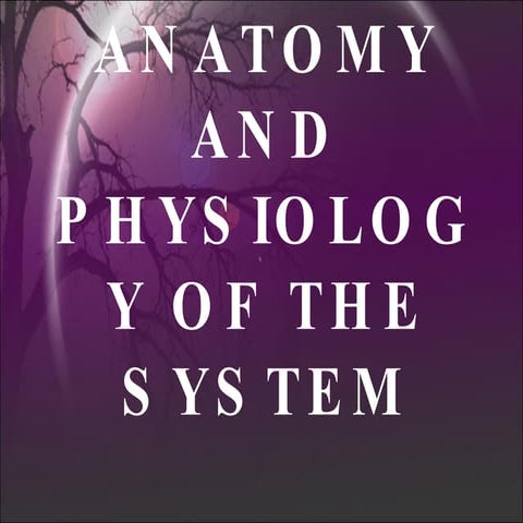 Urinary System | PPT