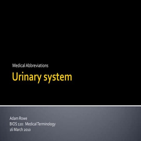 Urinary system | PPTX | Medical Health
