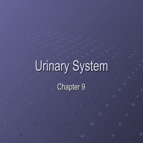 Urinary system | PPT