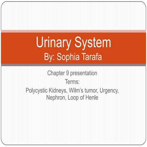 Urinary System | PPT