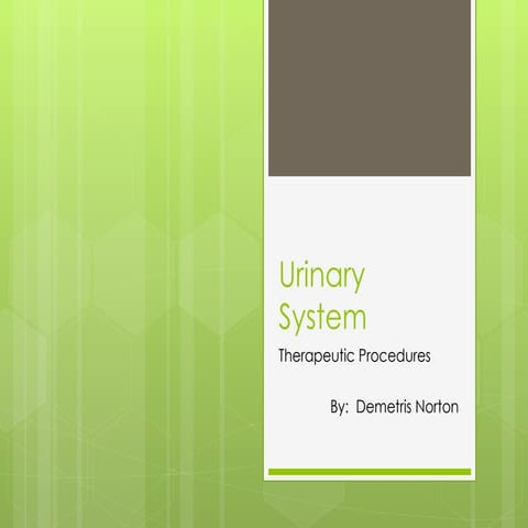Urinary system | PPT | Physical Therapy | Wellness