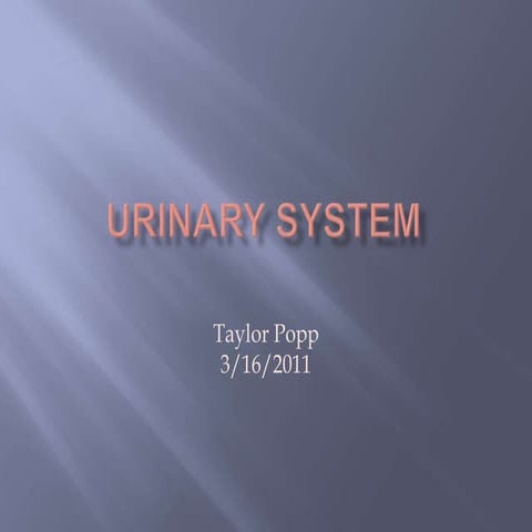 Chapter 9 urinary system abbreviations | PPTX