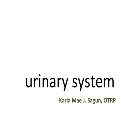 The urinary system | PPTX