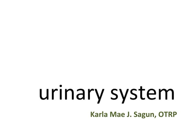 Anatomy and Physiology: Chapter 18- Urinary-System.pptx