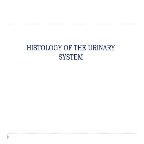 Urinary system | PPT