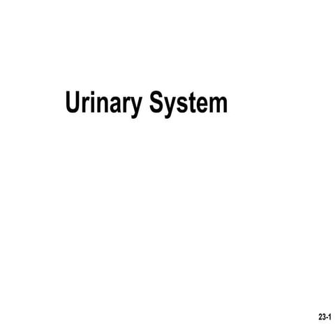 Urinary system | PPT