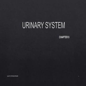 Urinary System | PPTX