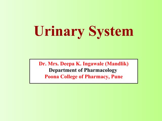Urinary System Notes | PPT