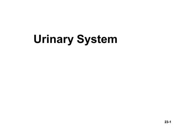 PCT- Renal physiology | PDF | Endocrine and Metabolic Diseases ...