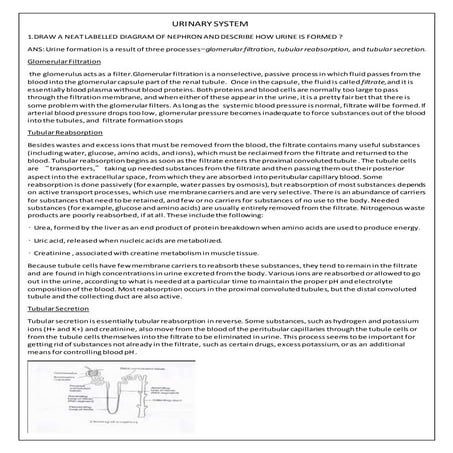 Urinary system notes for medical cum pharmacy students | DOCX