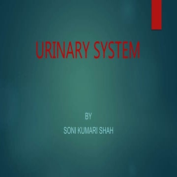 Urinary system | PPTX