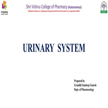 URINARY SYSTEM | PPTX