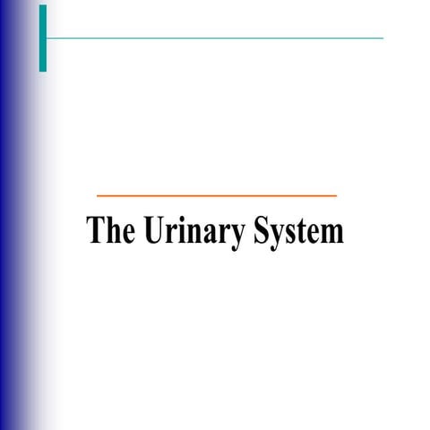Improvised urinary system | PPTX