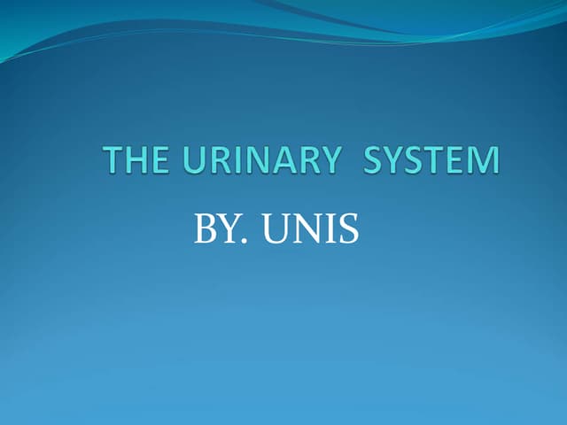 The urinary system | PPTX