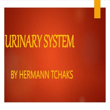 URINARY SYSTEM.pptxkucicigiccigigigggigkgkg | PPTX