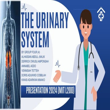 A presentation on the Urinary System and medical Terms associated with ...
