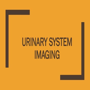 Urinary system ANATOMY PHYSIOLOGY PRESERSNTATION | PPTX