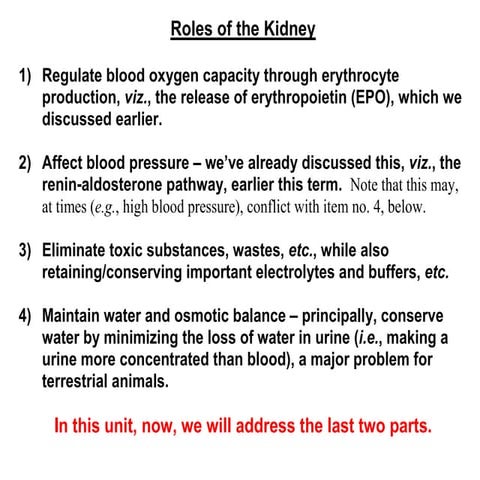 Urinary System Student Notes | PPT