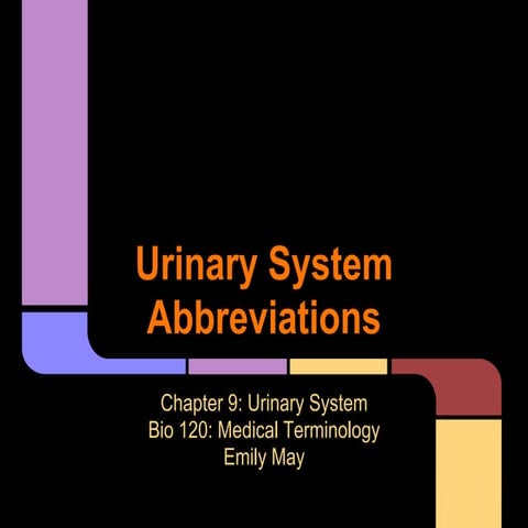 The urinary system | PPTX