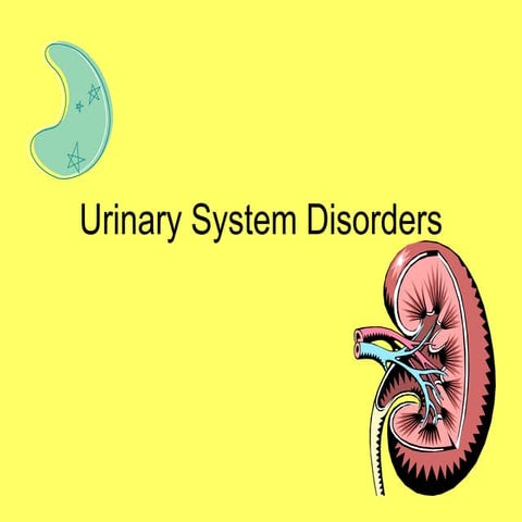 Urinary_System_Disorders.pptx