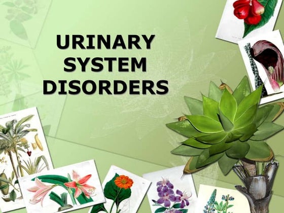 Disorders of urinary system | PPT