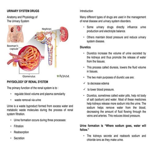 URINARY SYSTEM DRUGS.docx