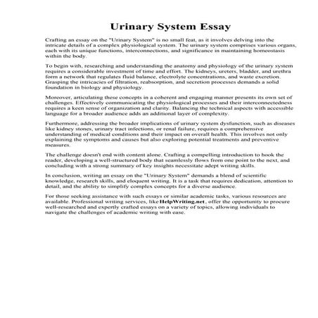 Urinary System Essay. Urinary System | Learn Anatomy | PDF