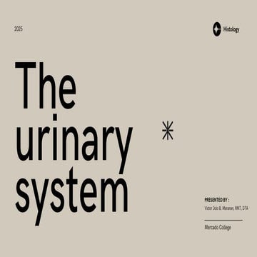 Urinary system Finals Quiz and review material | PDF