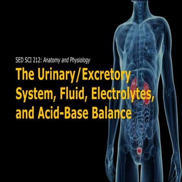 URINARY SYSTEM, FLUID, ELECTROLYTES, AND ACID BASE BALANCE Final ...