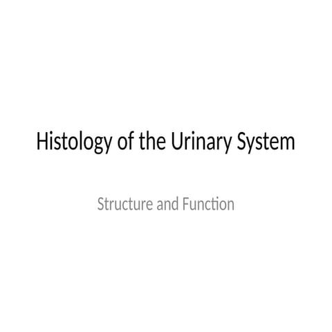 Urinary_System_Histology.pptxciidifidufufufufu | PPTX