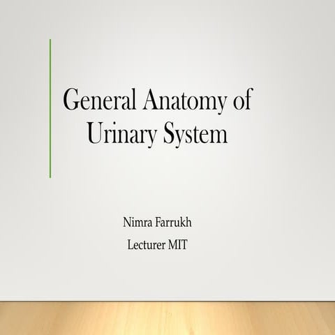 General Anatomy of Urinary System Part 1 | PPT