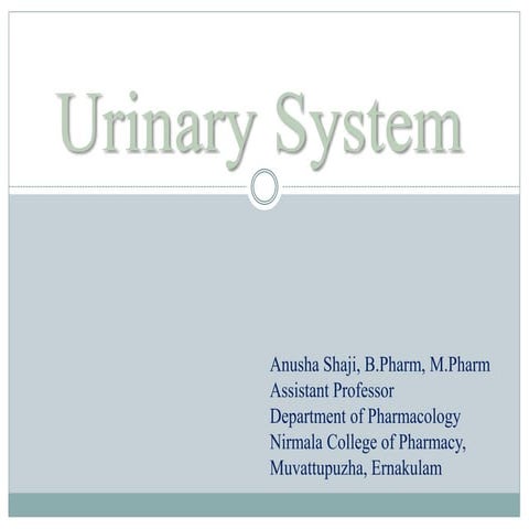 Urinary System Part II | PPTX