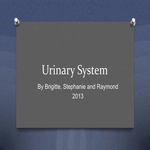Urinary system power point | PPTX