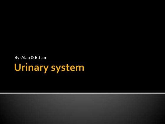 The excretory system | PPTX