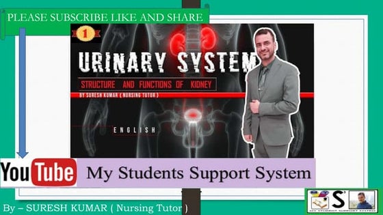 urinary system: a summary of its anatomy.pptx