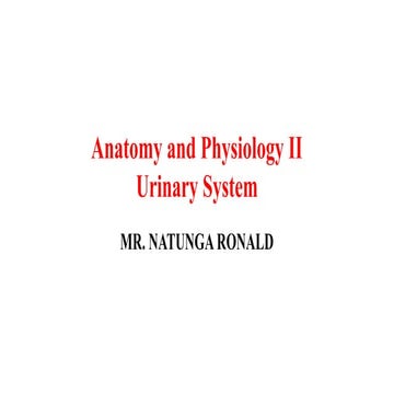 Excretory System | PPTX