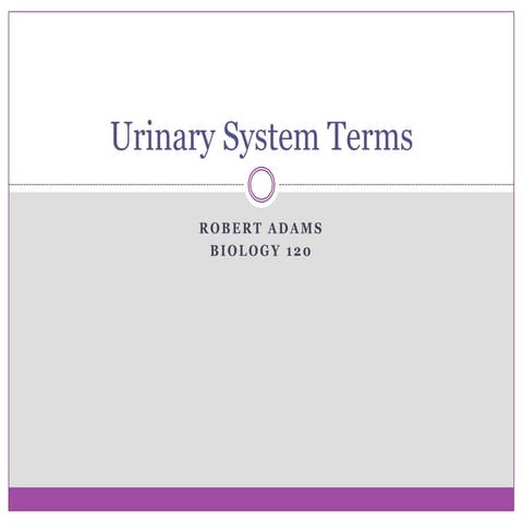 Urinary system terms | PPTX