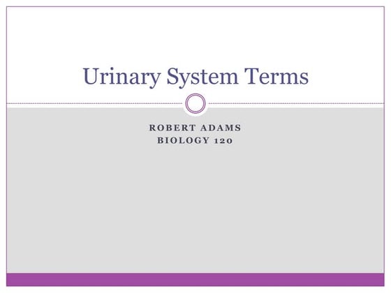 Urinary System | PPTX | Infectious Diseases | Diseases and Conditions