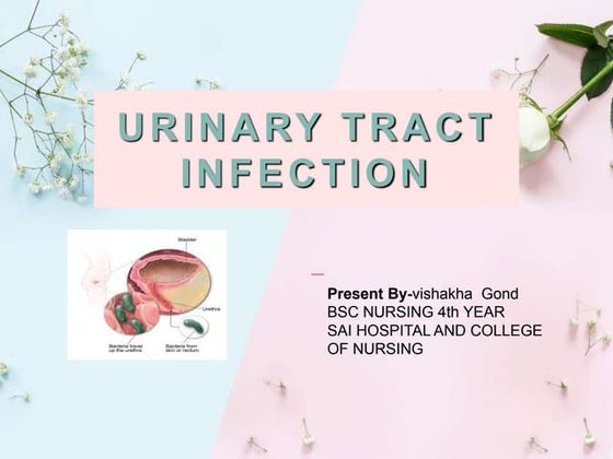 Pathophysiology of Urinary tract infection | PDF | Infectious Diseases ...