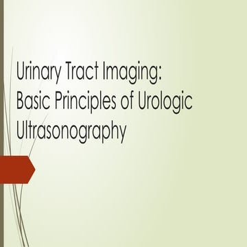 Urinary_Tract_Imaging_Ultrasonography_Lecture.pptx