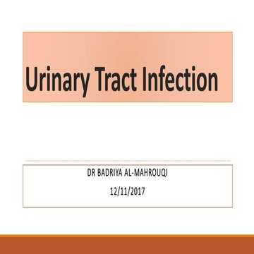 UTI 02 | PDF