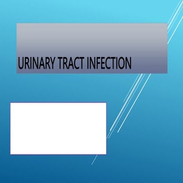 Urinary tract infections | PPTX