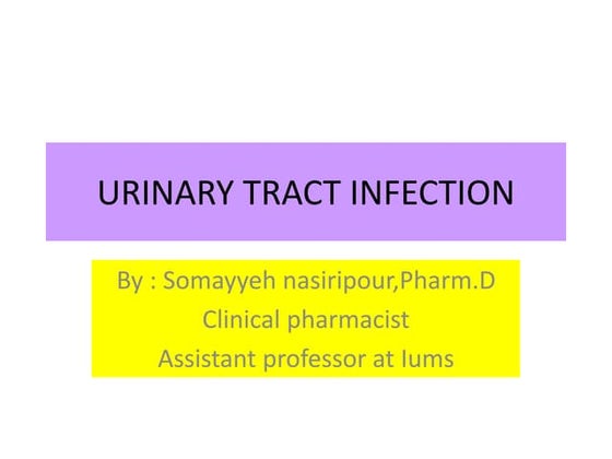 Pathophysiology urinary tract infections | PPTX | Infectious Diseases ...