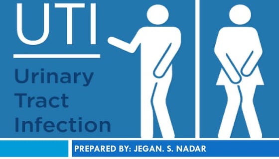 Chlamydia | PPT