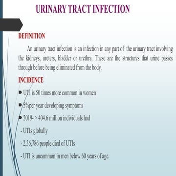 urinary tract infection for B.sC STUDENTS | PPTX